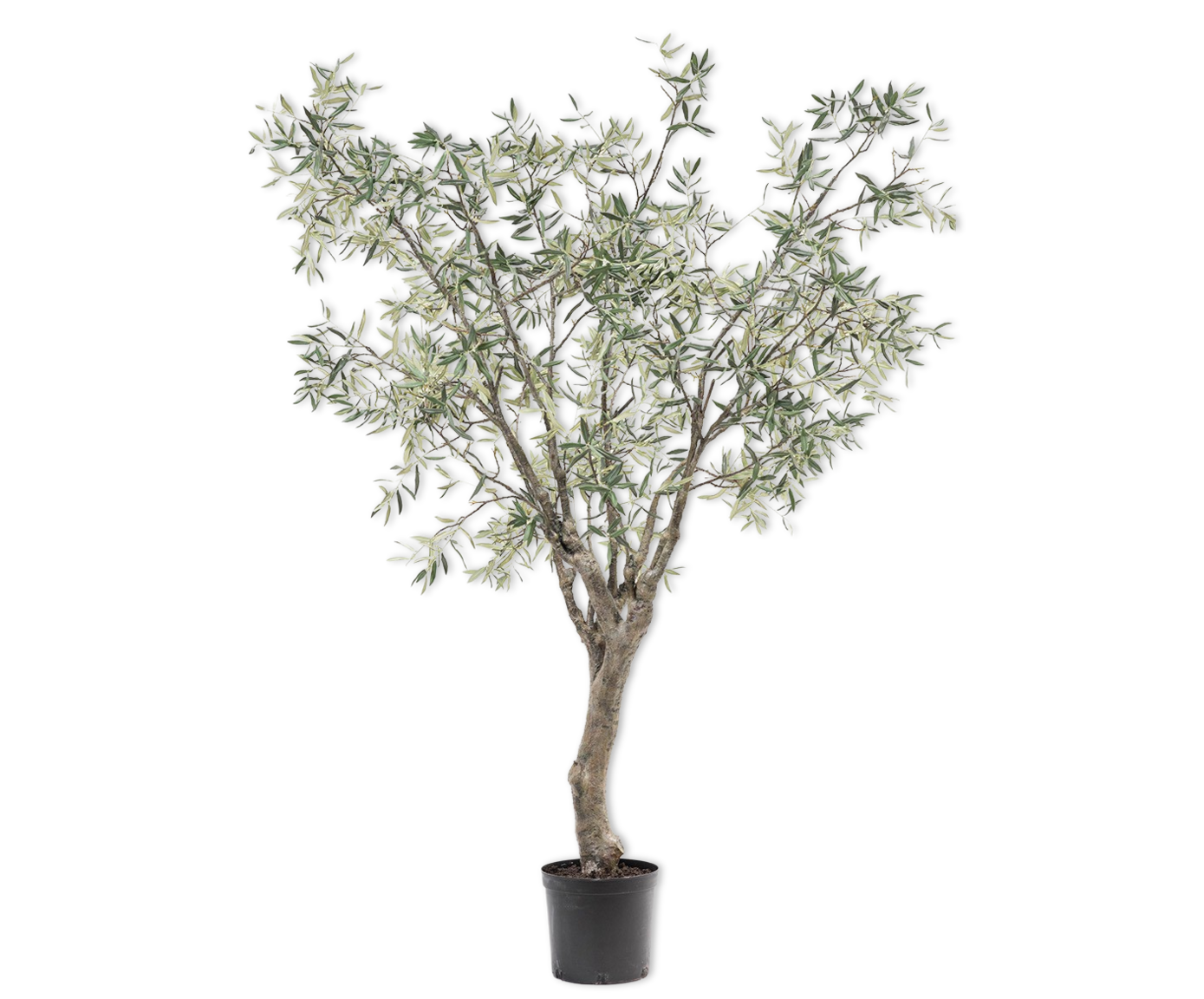 OLIVE TREE GREEN 244 CM OLIVE TREE GREEN 244 CM