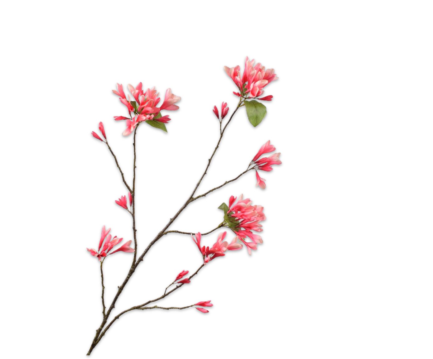 MADRESELVA RAMA ROSA 112 CM