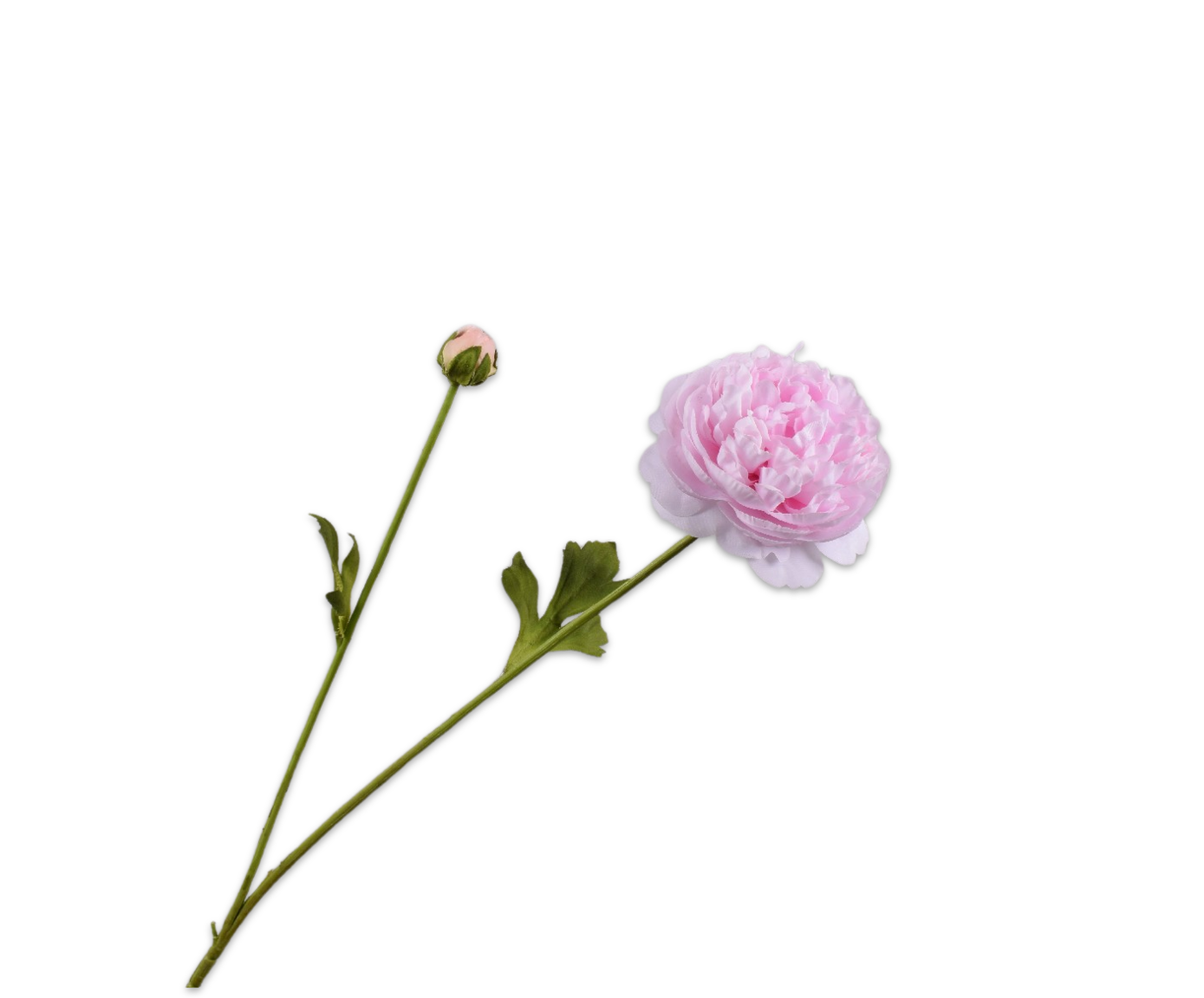 RANUNCULUS SPRAY PINK RT 64 CM