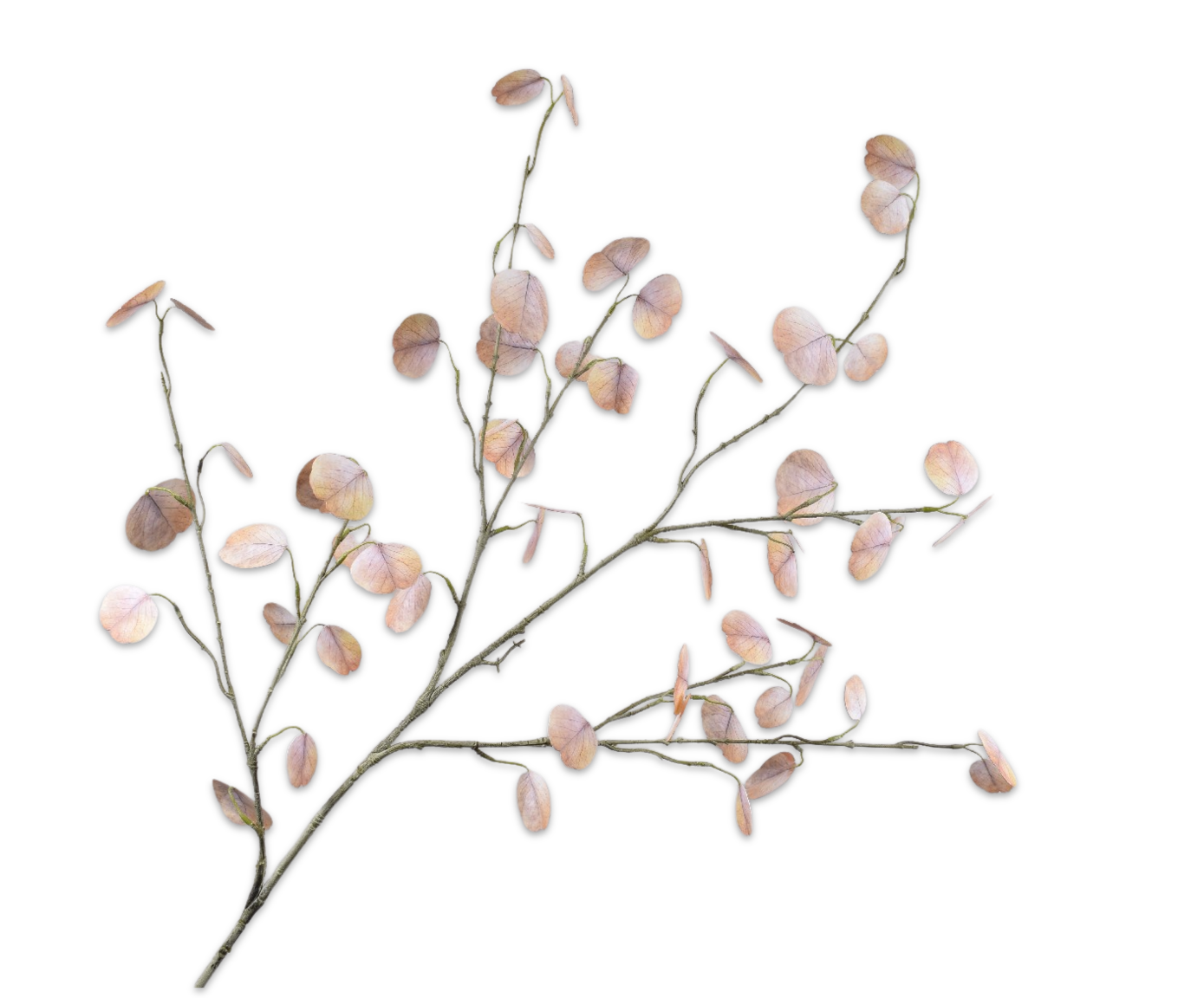 EUCALYPTUS SPRAY BRN LT 119 CM