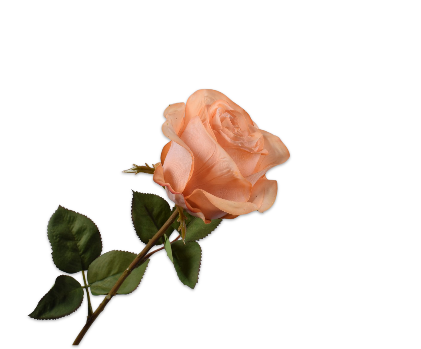 ROSE STEM PEACH RT 57 CM