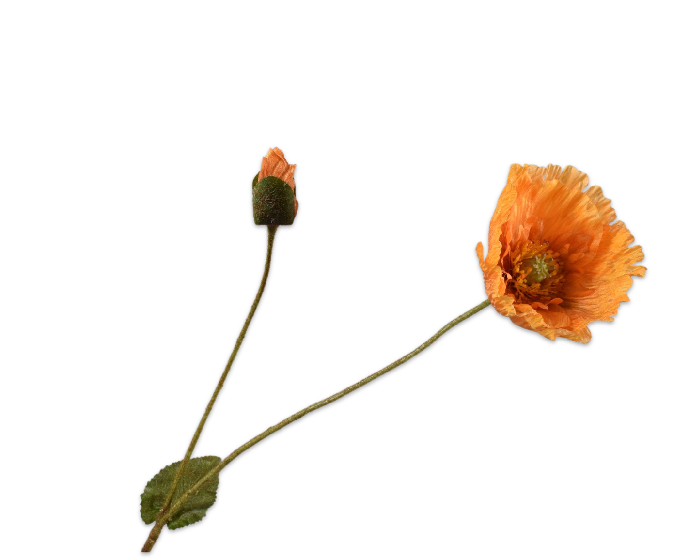 KLAPROOS TAK ORANJE 74 cm