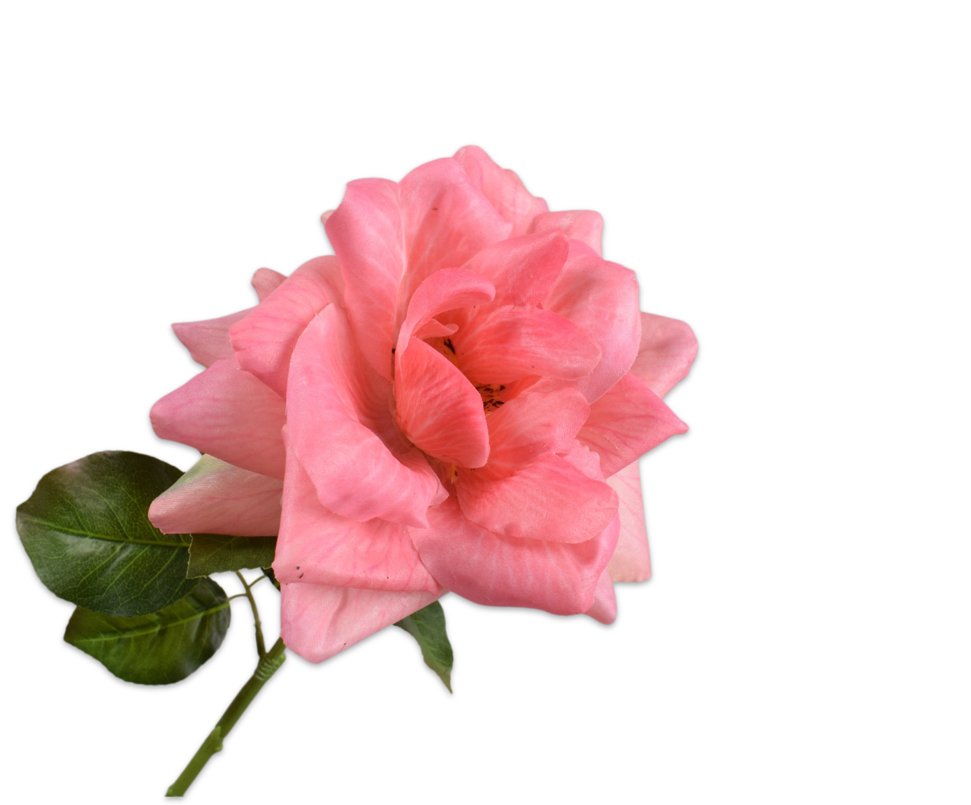 ROSE STEM PEACH RT 70 CM